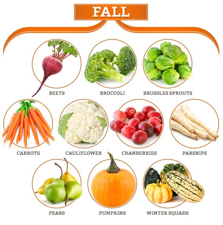 We Love Fall Most of All & Here’s Why… - Creative Hands Cuisine ...